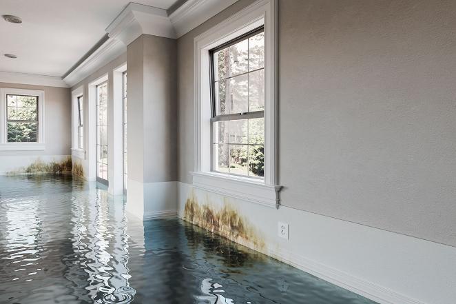 Water Damage Restoration In Spring 👷 Apr 2026